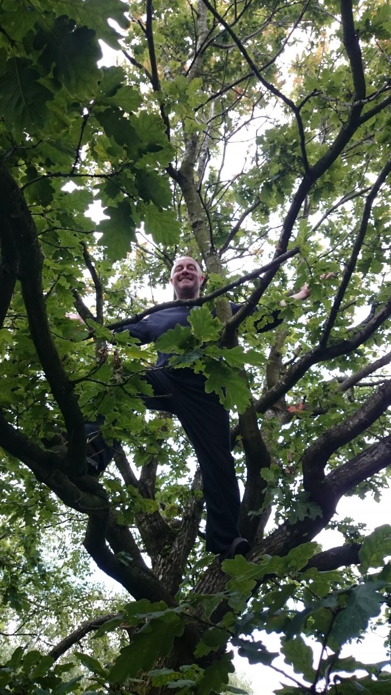 Standing Like a Tree Qigong - Universal Energy Arts & YogiChild Academy